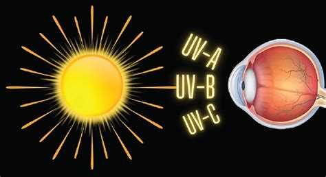 The Impact Of Excessive Sun Exposure On Eye Health Vitreum