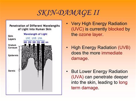 Sunscreen Preparations Ppt