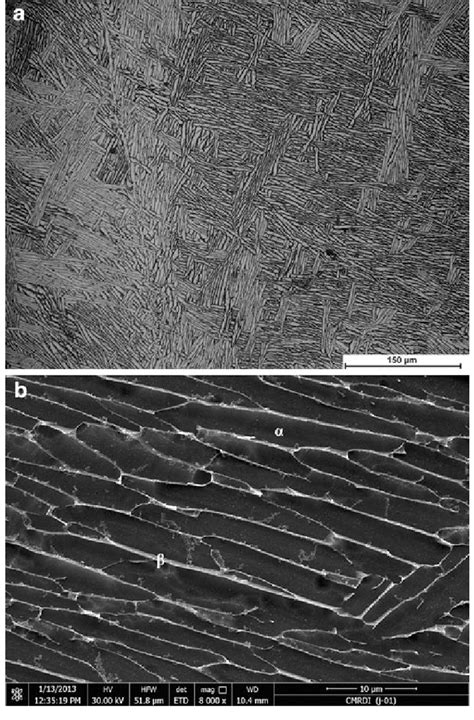 Microstructure Of The As Cast Ti 6Al 4V Alloy A Optical Micrograph