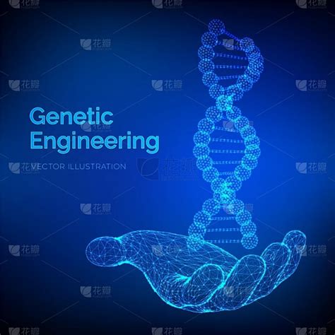 Dna序列在手。线框dna分子结构网。dna代码可编辑模板。科学技术概念。矢量插图。素材 花瓣网