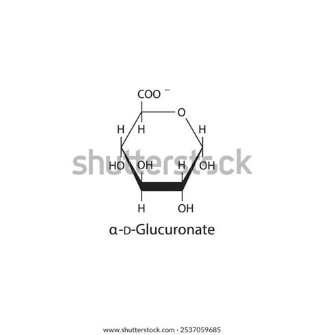 Α D Glucuronate Skeletal Structure Diagramsugar Compound Molecule Stock