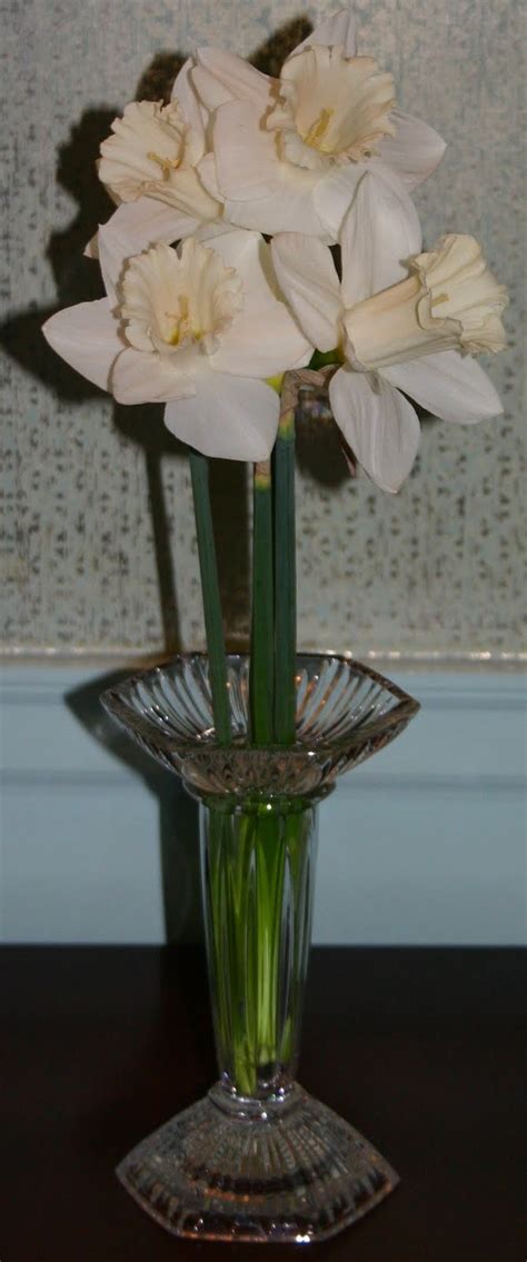 SueRaypole Com THE DIFFERENCE BETWEEN A VASE AND A VASE