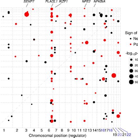 Repeated Use Of Pdsa Cycle Adapted From Langley Et Al 2009