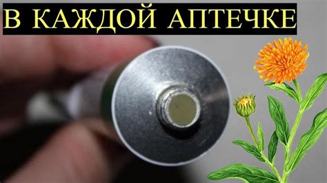 Золотая мазь Календулы из аптеки лечит Множество болезней! Копеечное ...