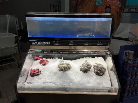 High Quality Custom Seafood And Lobster Tanks Lls