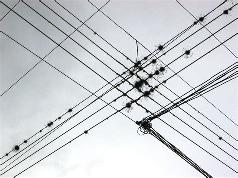 Wire Wikipedia