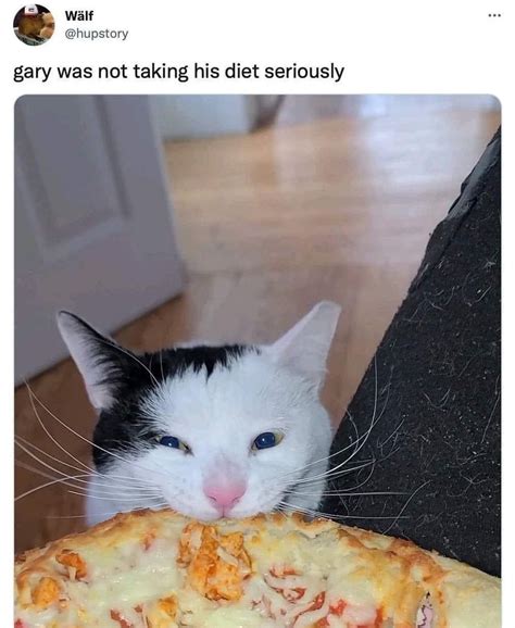 вы торговец дедом Peachium Twitter