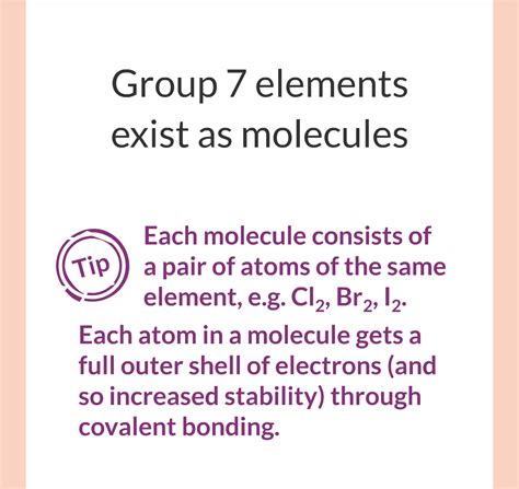 12 Group 7 Elements
