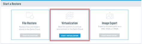 Performing An Instant Cloud Virtualization For Datto Endpoint Backup