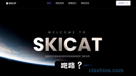 SkiCat 机场跑路了SkiCat 溜冰猫机场怎么样 Clash 爱好者