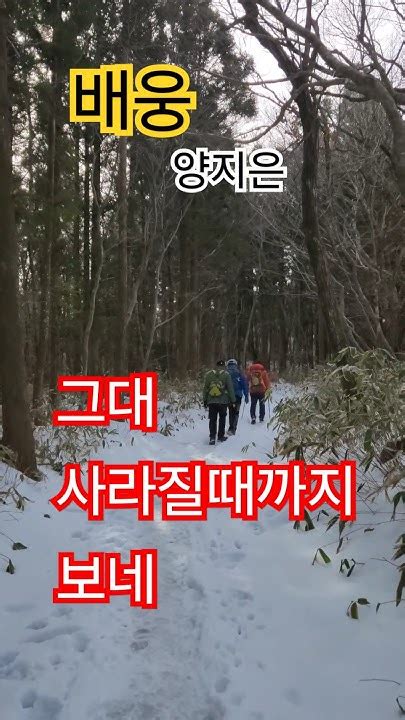 그대 사라질때까지 보네 양지은 배웅 미스트롯2 숲길 힐링 Youtube