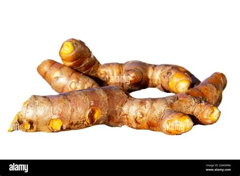Close Up Of Fresh Turmeric Curcuma Longa Roots Isolated On White