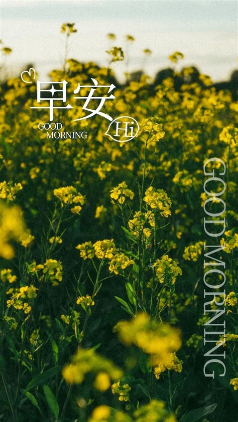 3月9日，周四早上好图片