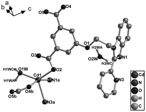 A Kind Of Fluorescent Cadmium Metal Organic Complex And Its Preparation Method And Application