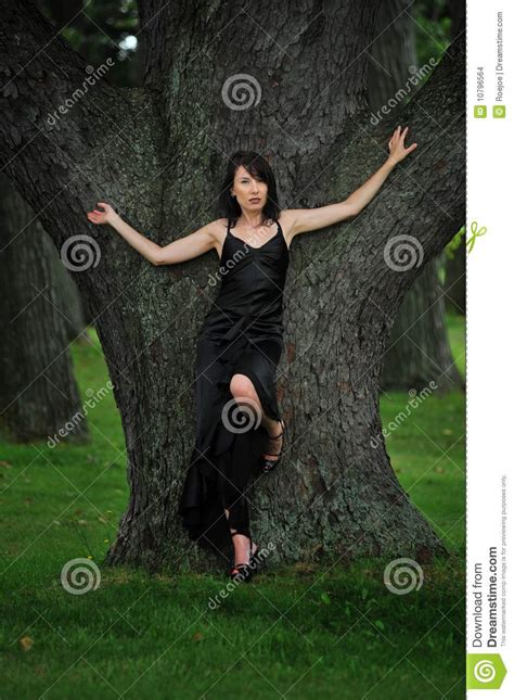 Woman Leaning On Tree Stock Photo Image Of Black Dress