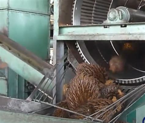 Test1 Object Detection Dataset V1 2023 03 04 6 44pm By Fish Detection