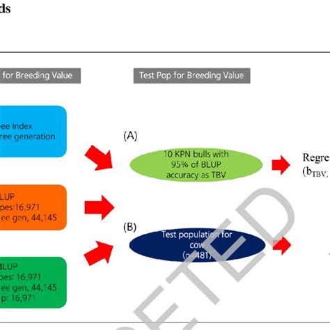 schematic of the breeding value accuracy using three different methods