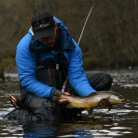 Wild Brown Trout Fishing In Scotland With Experienced Guides