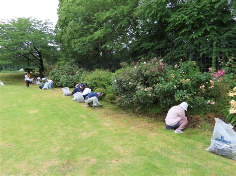 ながいずみ観光交流協会最新情報