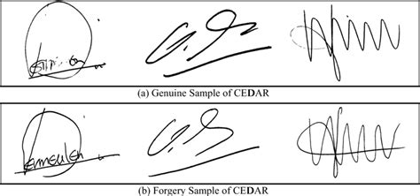 signature samples in cedar dataset a genuine sample of cedar b download scientific diagram