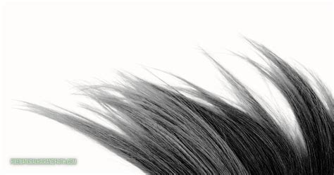 How To Tell If Your Natural Hair Is Damaged 20 Signs