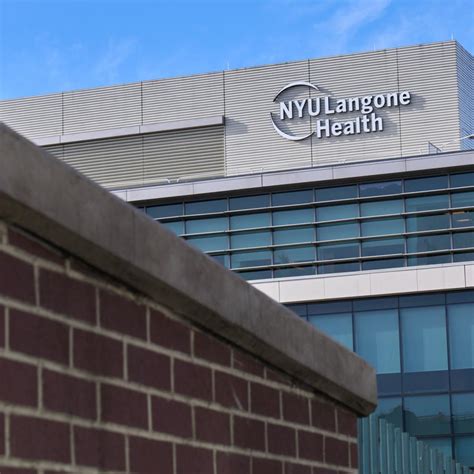 Life At Nyu Grossman Long Island School Of Medicine Nyu Grossman Long