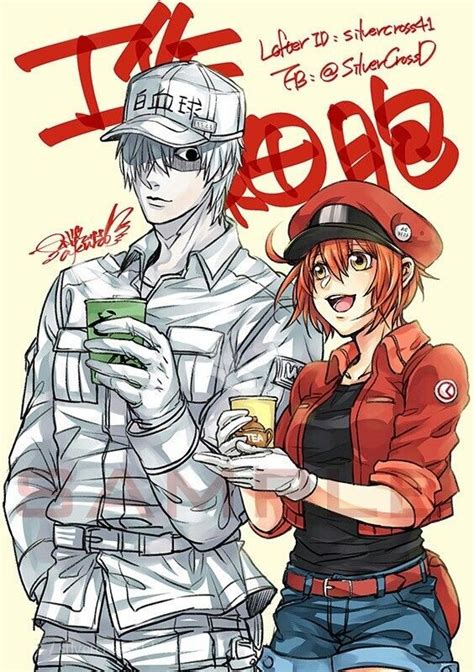 Hataraku Saibou Cells At Work Cr Silvercross Anime