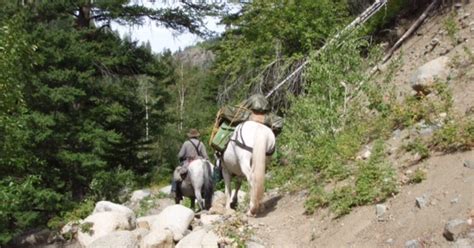 Chilcotin Holidays Not Your Everyday Internet Installation Xplore