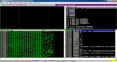 restarting vulnerable server and immunity