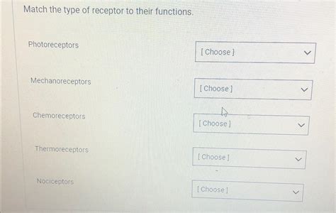 Solved Match The Type Of Receptor To Their Chegg