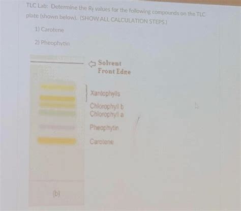 Solved TLC Lab Determine The Rf Values For The Following Chegg