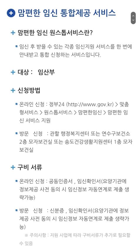 2024년 쌍둥이 임신 출산 진료비 추가로 받는 방법 임산부 병원비 지원 정부 지원금 바우처 네이버 블로그