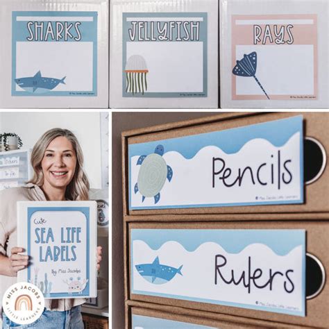 Cute Sea Life Classroom Decor Ocean Theme Miss Jacobs