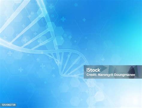 Dna 나선형 분자 추상 다각형 와이어프레임 Dna 분자 나선 나선형 의학 유전 생명 공학 화학 생물학 유전자 세포 개념 벡터
