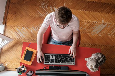 남자는 자신의 사랑스러운 고양이 옆에 컴퓨터에 집에서 원격으로 작동합니다 전염병 동안 자기 고립의 개념 생활방식 격리에 대한 스톡 사진 및 기타 이미지 Istock