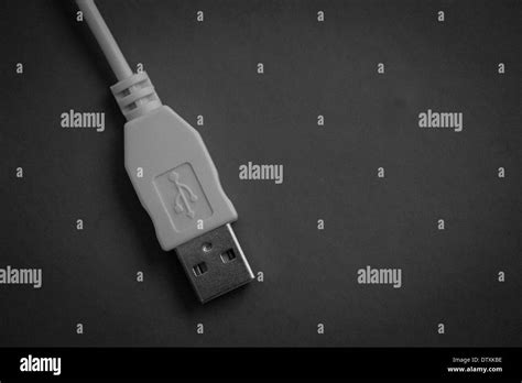 USB Cable In Black And White Stock Photo Alamy