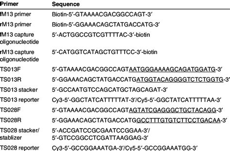 Oligonucleotides Used In Universal Adaptor System For Snp Detection
