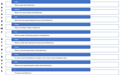 Dataframe Practice Questions With Solutions Part 4 Attributes And