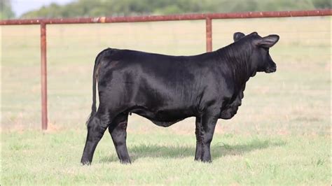 Klemstein Tag 9 Youtube