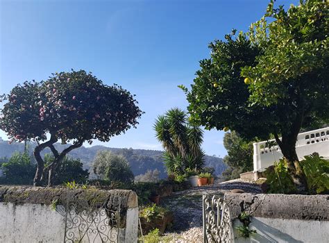 Natural Skincare And Aromatic Extracts May 2024 Portugal Booking