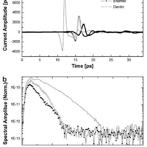 A Temporal Waveform And B Frequency Amplitude Data From The Fast Download Scientific