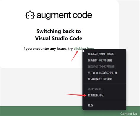 Github Yuxinle1996account Switch Demo Augmentcode加密解密演示