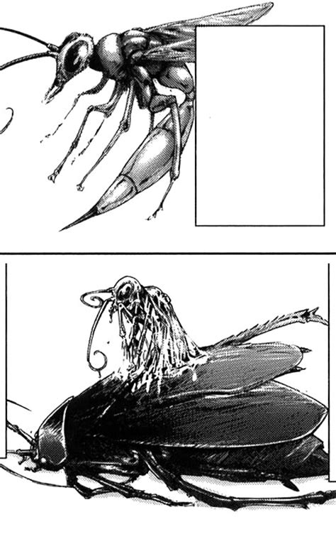 Image Emerald Cockroach Wasp  Terra Formars Wiki Fandom