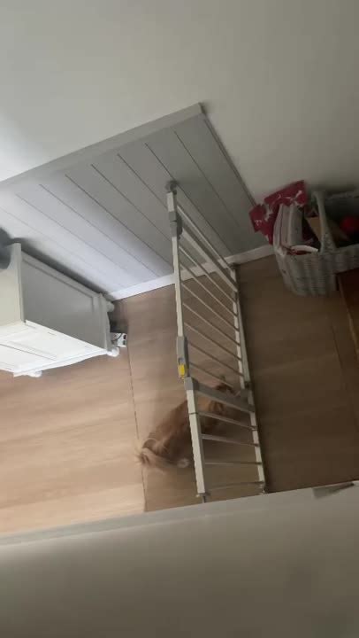 Daniel Whitton On Linkedin Not Work Related But Still Another Of Work This Is Literally What My…