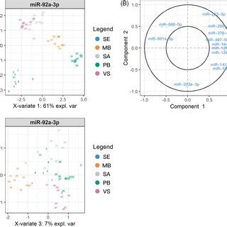 Score Plot A And Correlation Loading Plot B For The First Two PLS