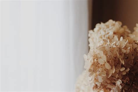 How To Add A Pinterest Save Button To Your Site Increase Your Pinterest Traffic Jungle Soul