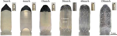 Macrostructures Of Directionally Solidified Ti 17 Samples After The Download Scientific Diagram