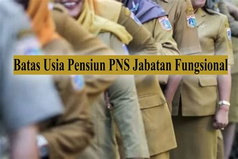 TOK Batas Usia Pensiun Ditetapkan PNS Jabatan Fungsional Harus Siap