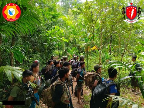 ညီနောင်အဖွဲ လောင်းလုံးမြို့နယ်ပြည်သူ့ကာကွယ်ရေးတပ်ဖွဲ့ ပကဖ Facebook