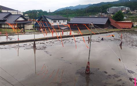 廿日市市の原地区の泥んこバレー大会 玉ねぎホリダーのブログ